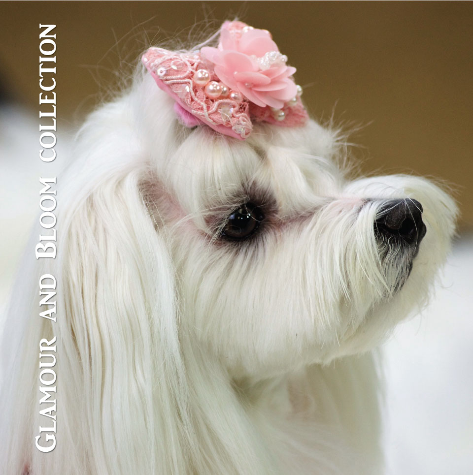 Bark N Boujee - Pampered Pooch Couture